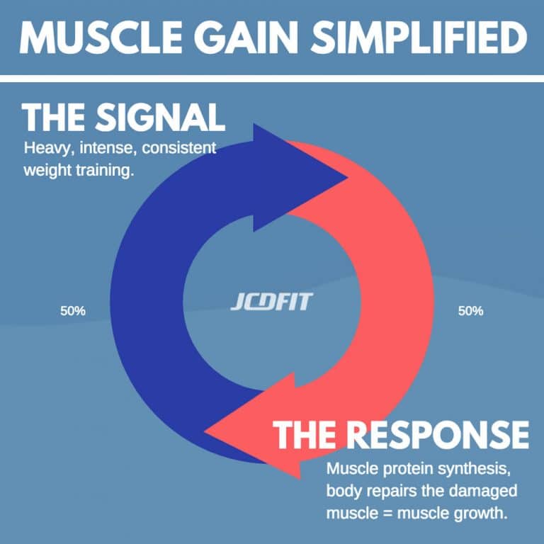 The Science Of Bulking: How To Build Muscle Without Getting Fat